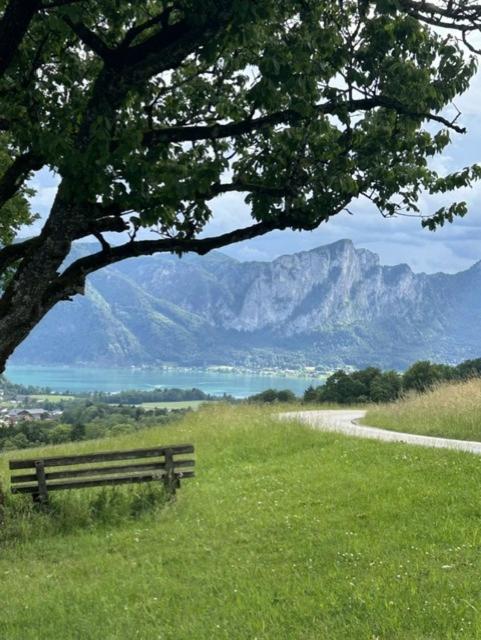 Mondseeview - Familie Edtmayer - Attersee