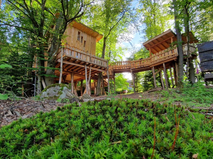 La Cabane Dans Les Arbres Du Domaine De La Forestière - Lorraine
