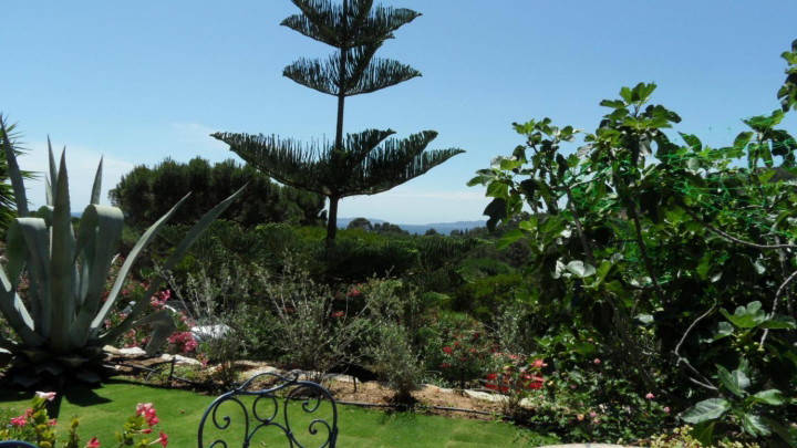 Villa Carpe Diem - Le Lavandou