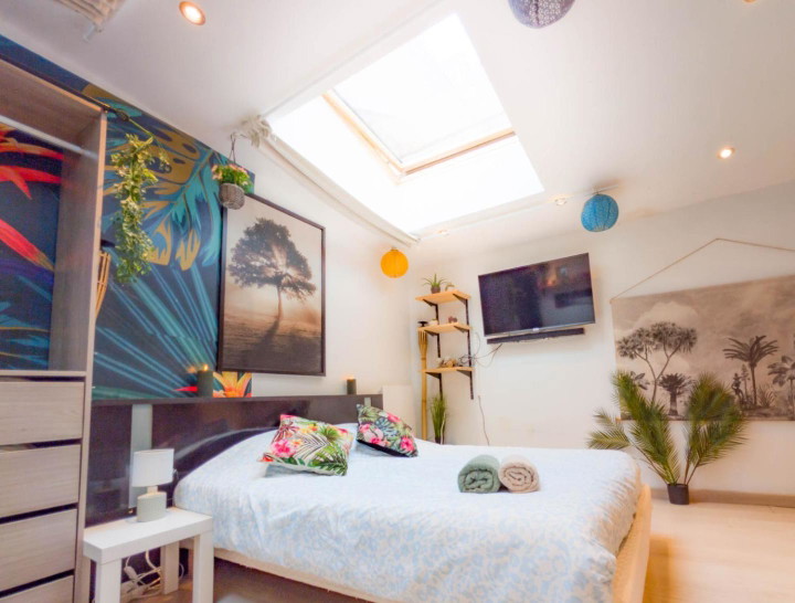 Jungle Studio - 2p à 4p -Henriville - Amiens