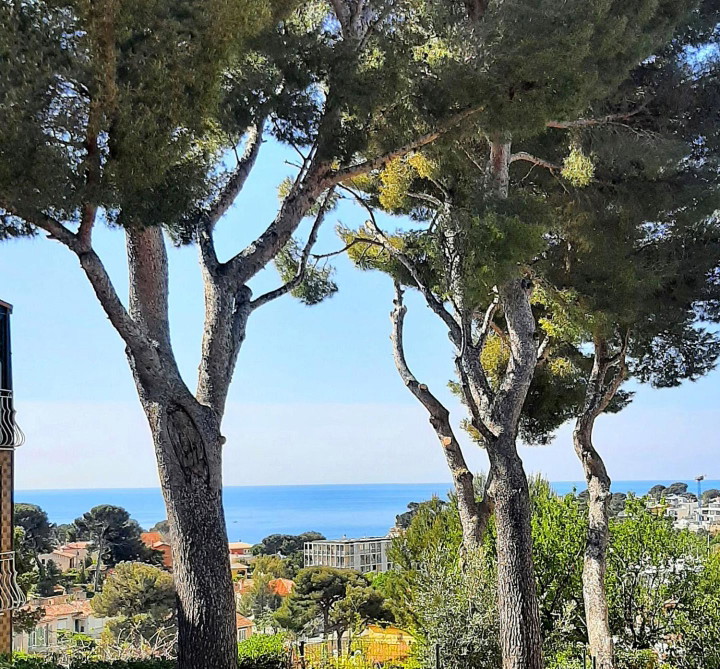 Maison Au Calme Sous Les Pins Bord De Mer - Ensuès-la-Redonne