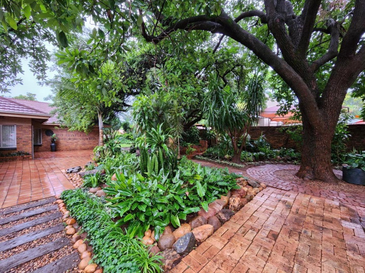 Tree Aloe Guest House - Mokopane