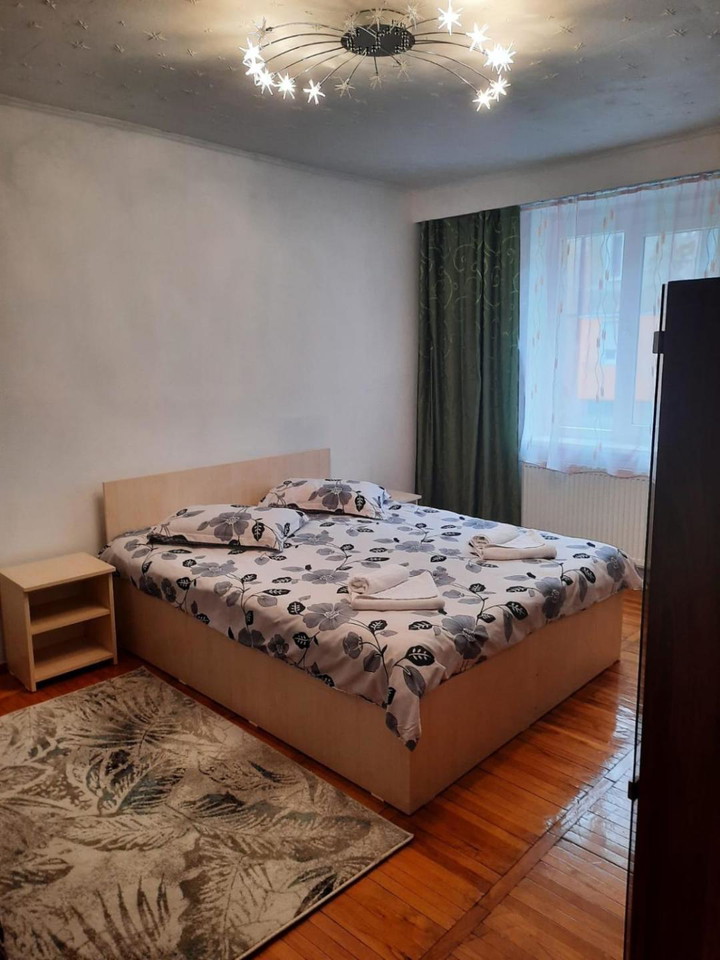 Apartament Central - Vulcan
