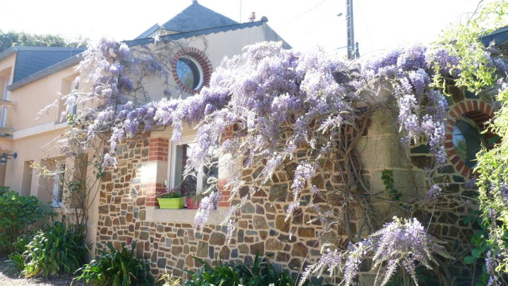 Gite De La Renaissance, Binic , Bretagne - Bretagne