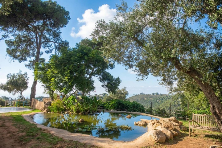 Beit Oren Hotel - Israel