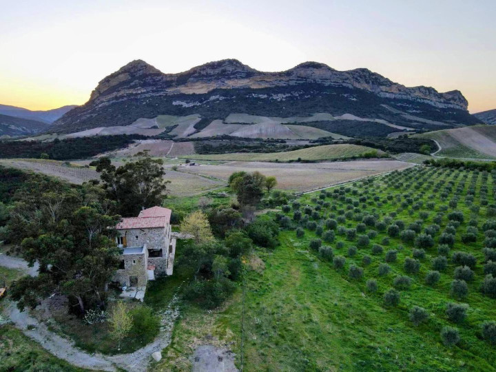 Mulinu Biancu - Bastia