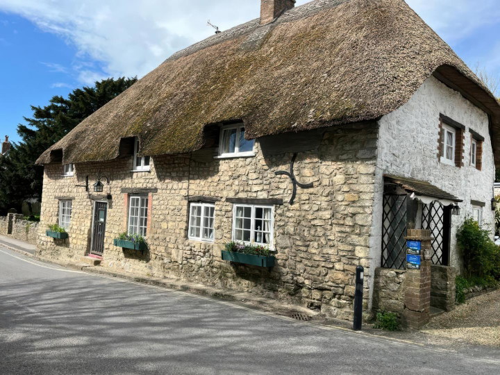 Little Ivy - West Lulworth