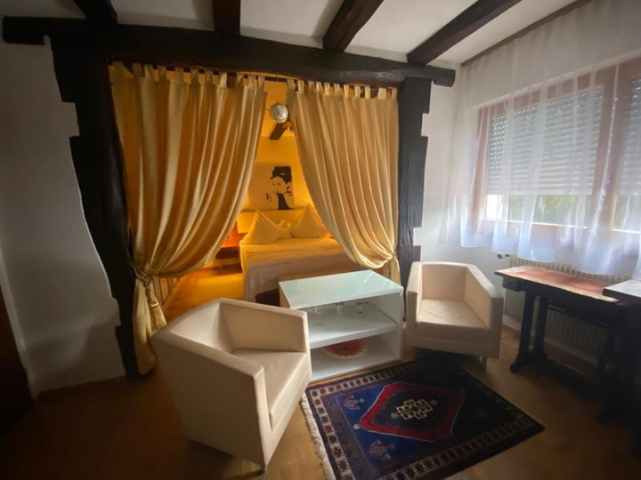 River Side Appartment - Blotzheim