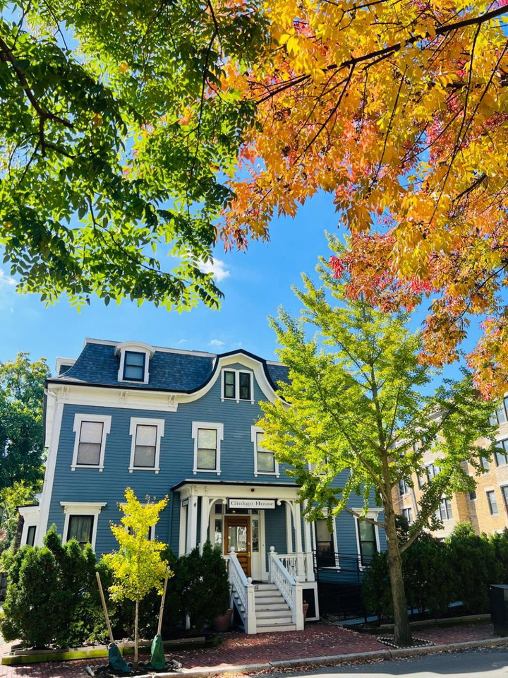 Ginkgo House On Harvard - Somerville, MA