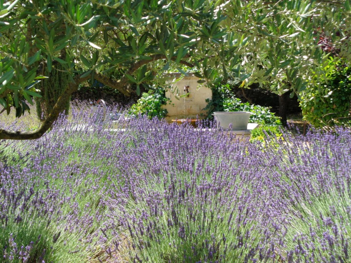 Clos Des Lavandes - Chambres Et Suites De Charme Climatisées-luberon - Roussillon