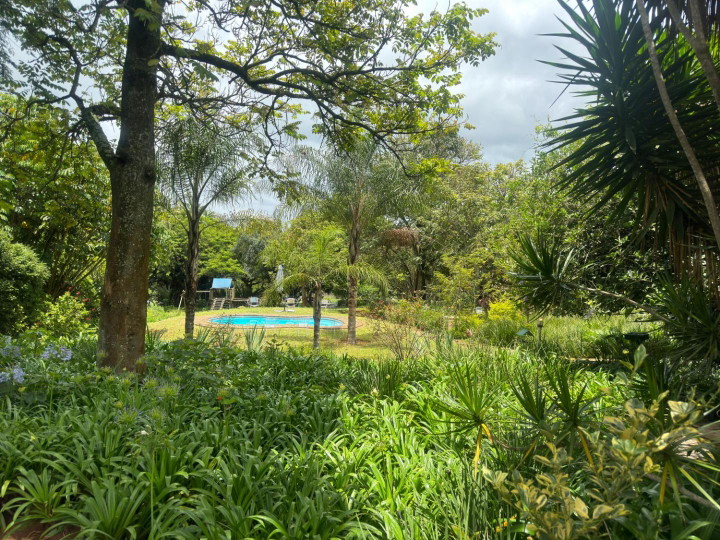 Busa House - White River