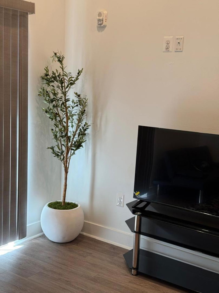 Modern 1-bedroom Apartment In Downtown Baltimore - Baltimore, MD