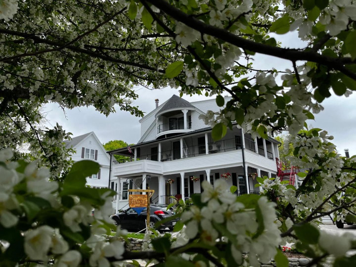 Queen Anne's Revenge - Bar Harbor, ME
