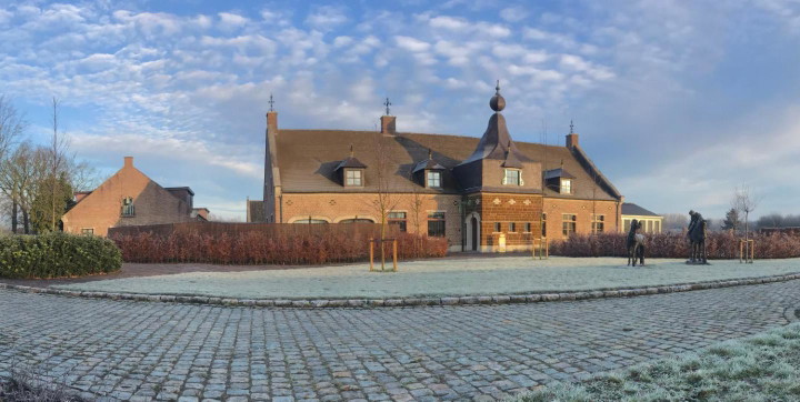 Ask Lily - Herentals