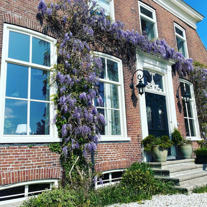 Ark Van Thesinge - Groningen Province