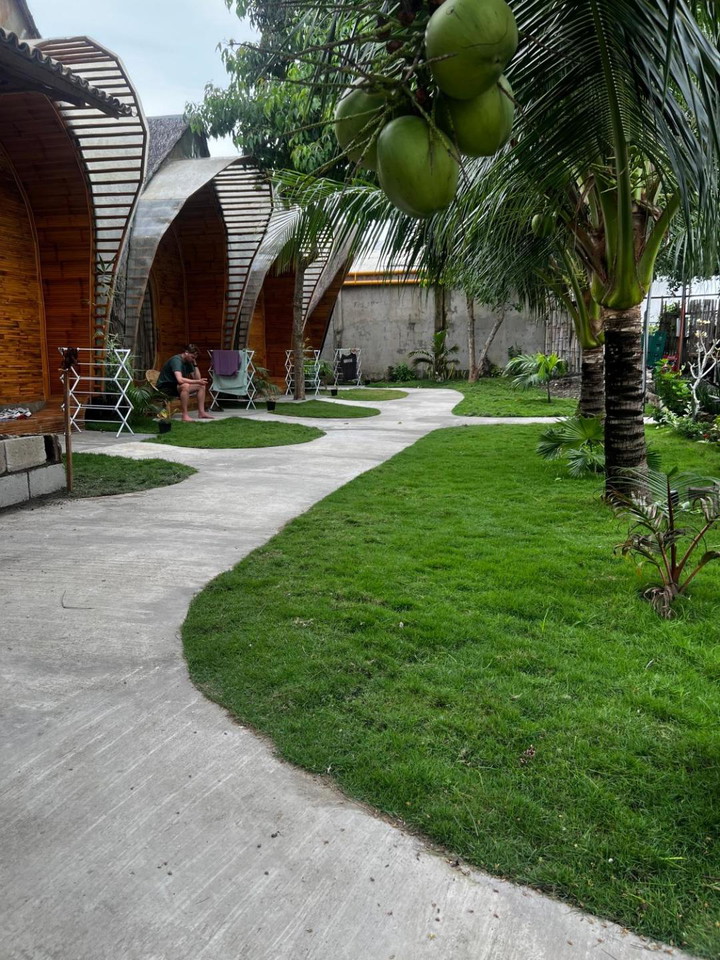 The Backyard Inn - Moalboal