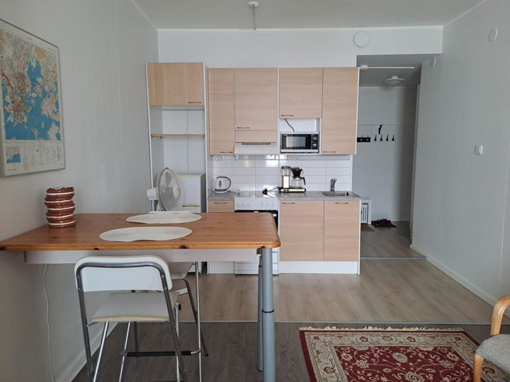 Bright And Spacious Studio In The Vibrant City Center - Helsinki