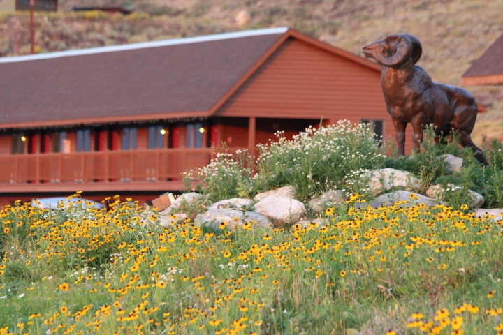 Flat Creek Inn - Teton Village, WY