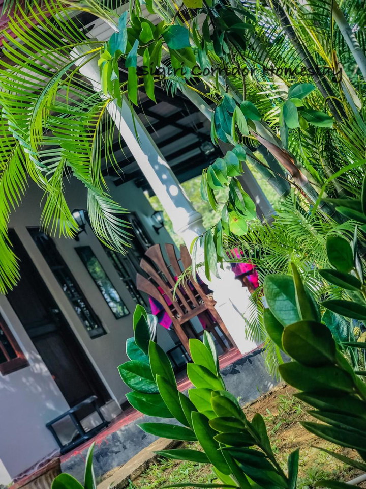 Sigiri Corridor Home Stay - Sri Lanka
