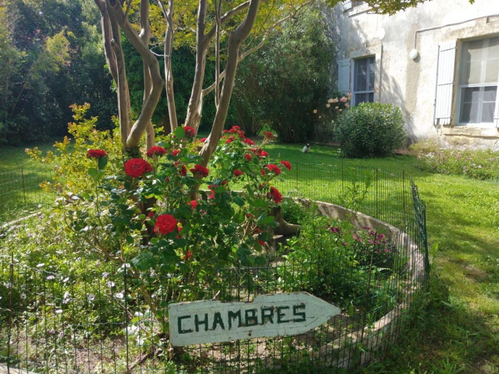 Le Mas D'icard - Camargue