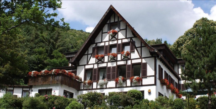 Hotel Das Waldhaus In Maikammer - Burrweiler