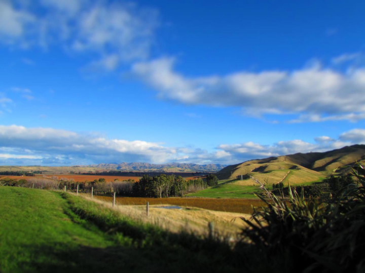 Hill Top Retreat - Marlborough District
