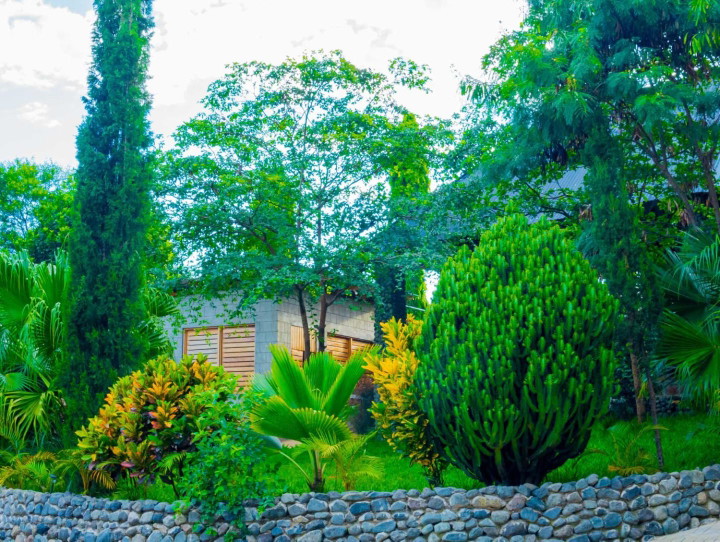Breezy Lodge - Tanzania