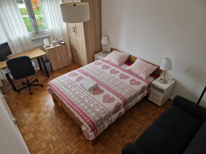 Room In Shared Apartment Geneva - Genève