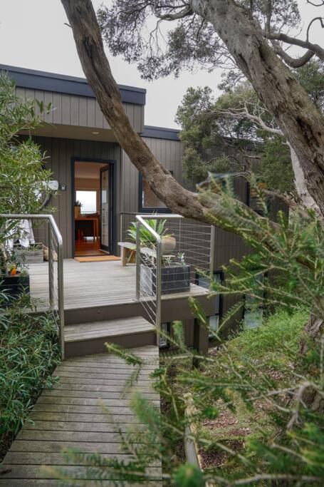 Saltbush - Cape Schanck
