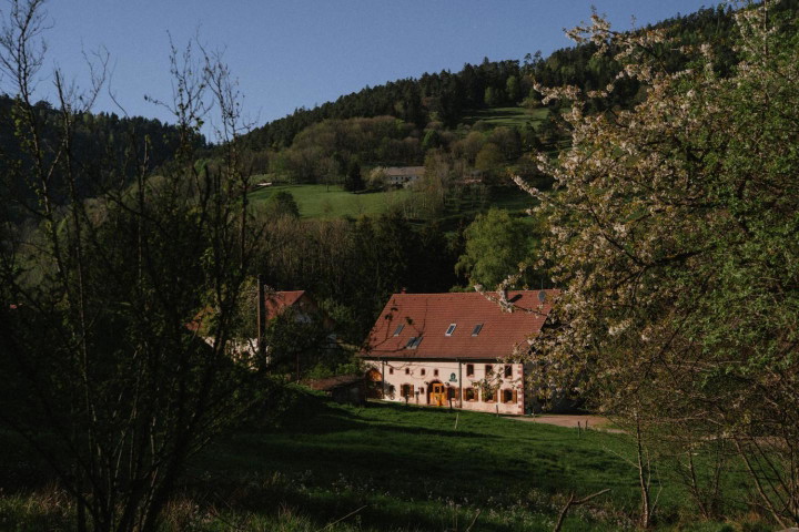 Au Bois Dormant Gîte 15 Personnes - Ribeauvillé