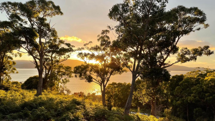 Casita Rica - Cygnet