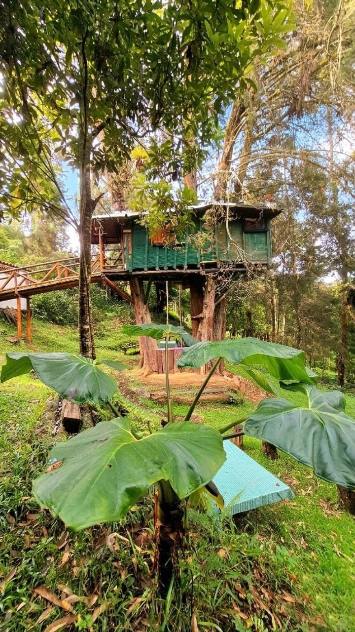 Casa En El Arbol - Cerca Metrocable Arvi - Camping - Copacabana