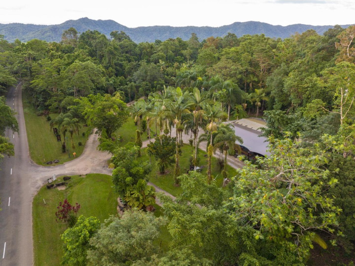 Daintree Siesta - Daintree