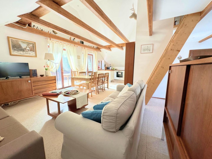 Luxury Holiday Home Near Lake Bled & The Alps - Bled
