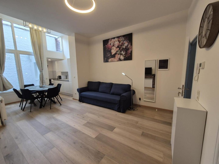 Tasson Snel Apartment Center Of Brussels - Bryssel