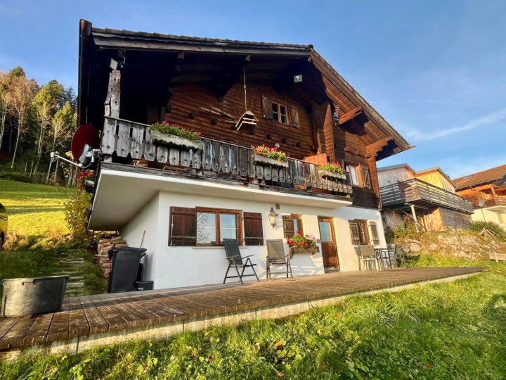 Ferienwohnungen Im Blockhaus Metzler - Dornbirn