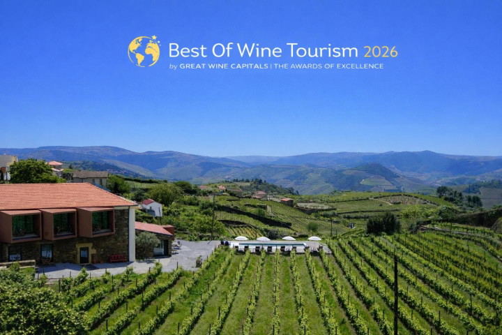 Casa Do Santo - Wine & Tourism - Pinhão