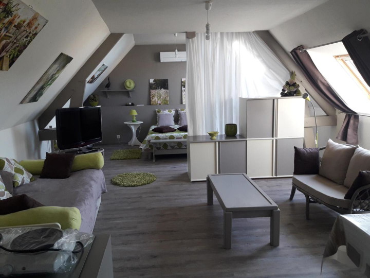 Logement Indépendant Avec Piscine Couverte - Le Mans