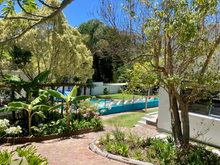 Tonquani - Knysna - Private Forest Retreat And Cottages - Knysna