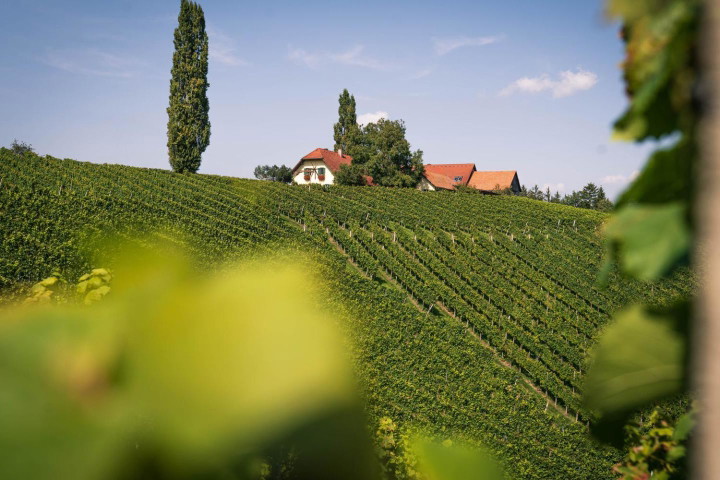 Weingut Leopold Dietrich - Autriche