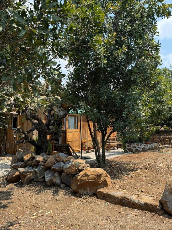 Makä Cabin - Tepoztlán
