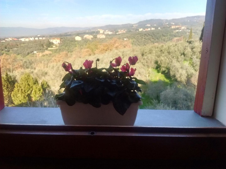 B&b Vallata - Vinci