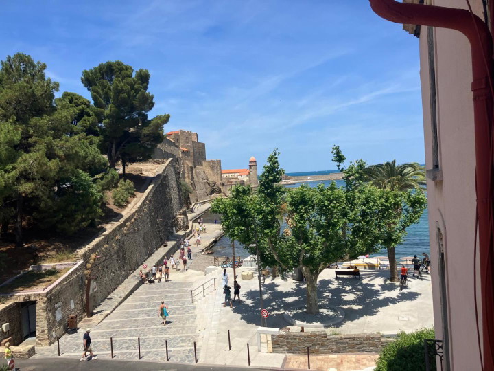 Pieds Dans L’eau à Collioure - Collioure