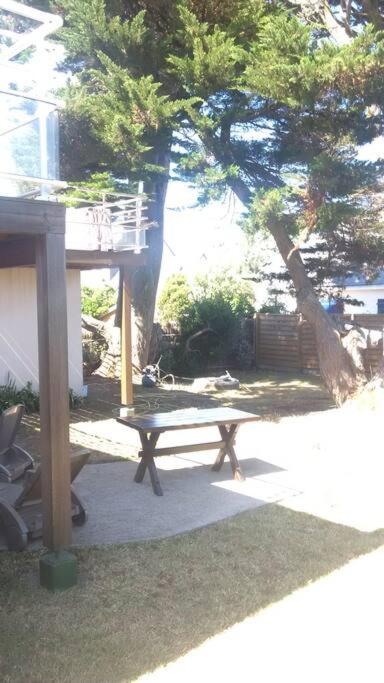 Appart 53 M2 En Rdc Maison, Jardin, à 50 M Plage - Piriac-sur-Mer