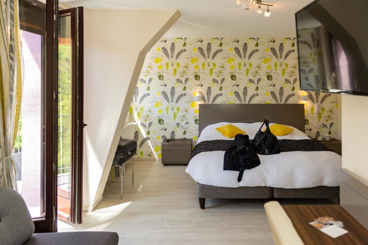 Logis Hotel Des Vosges - Ballon d'Alsace