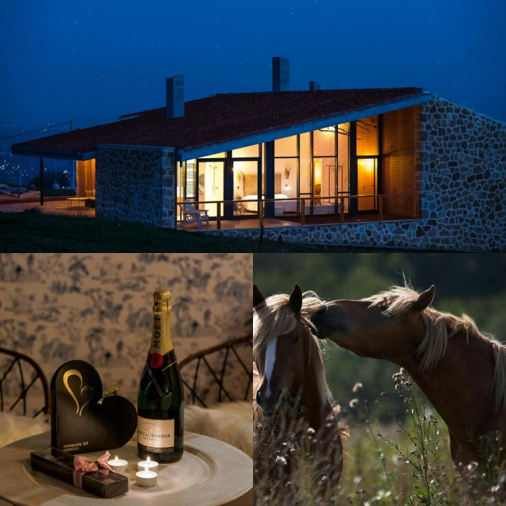 Niditas Suites & Horses - Cartes