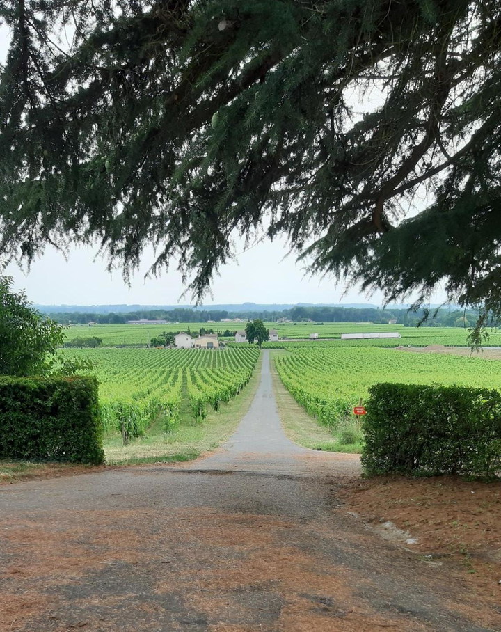 A L'ombre De La Treille -Proche Saint-emilion - Saint-Émilion