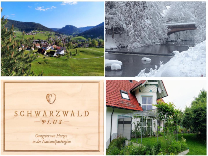 Ferienwohnung, Sauna & Gästekarte Gratis Im Schwarzwald - Baiersbronn
