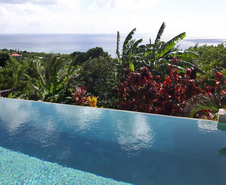 Kaye Mango - Saint Lucia