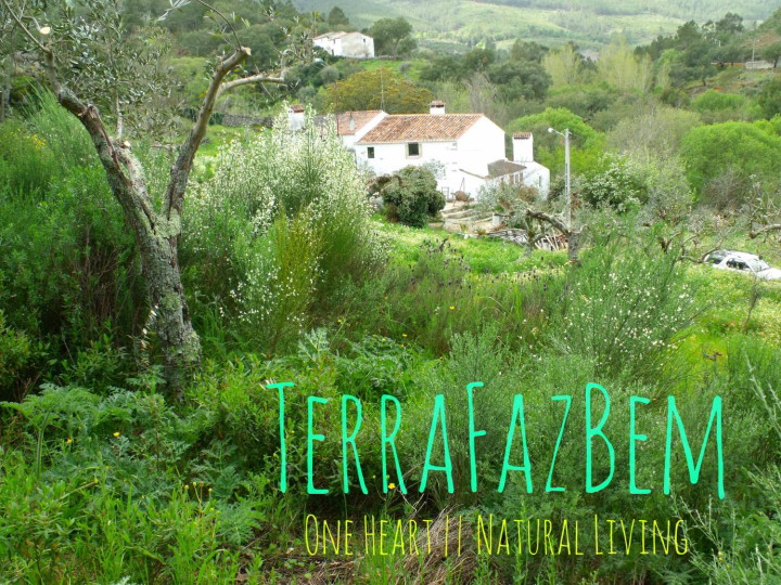 Terrafazbem - Centro Region